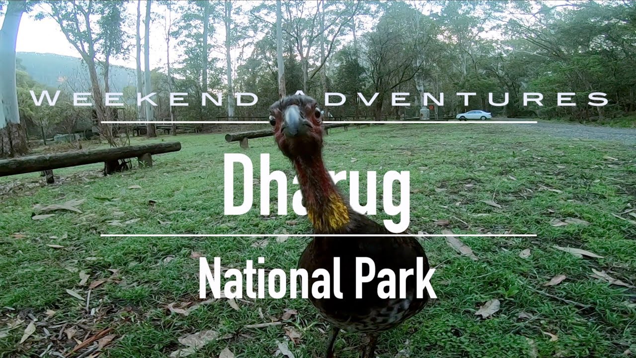 Dharug National Park 4K - YouTube