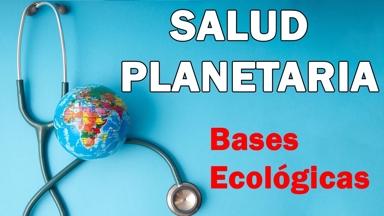 SALUD PLANETARIA: Qué Relación existe entre la Salud de las Personas ...