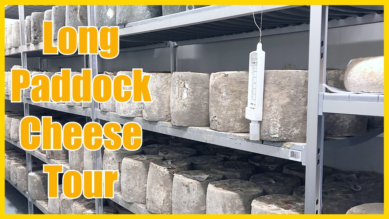 I Visited a Cheese Factory For My Birthday - Long Paddock Cheese - YouTube