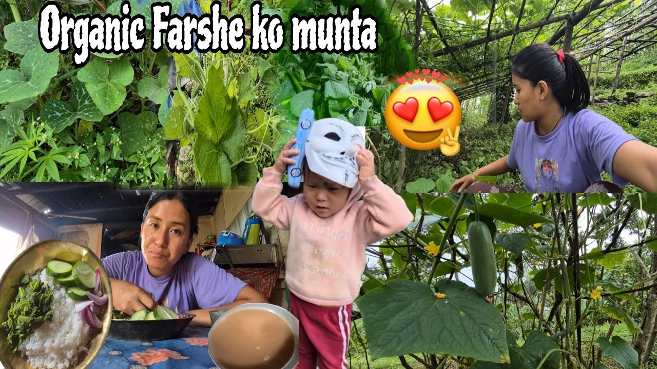 Darjeeling villagelife Farshe ko munta tipara pakaye aju 🤤|| bihan tai ...