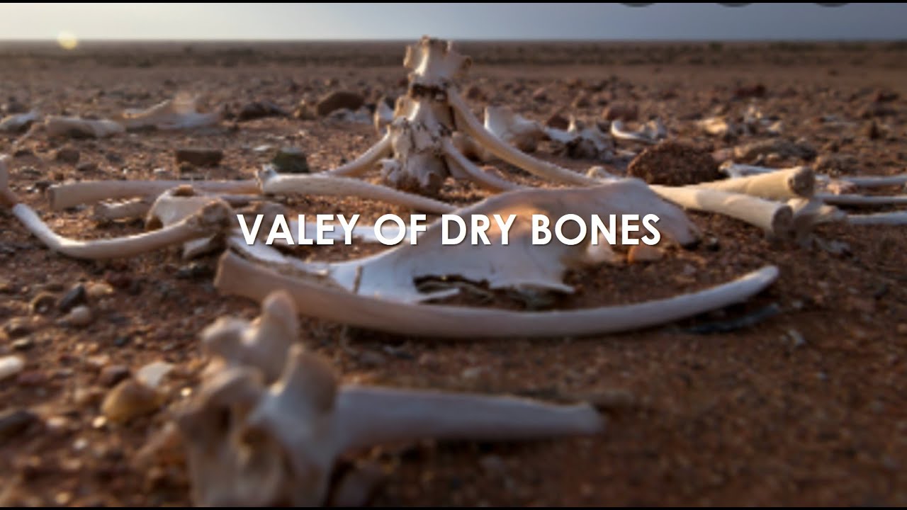 Sunday 31 October 2021 - Dry Bones - Ps Shantel Benjamin - YouTube