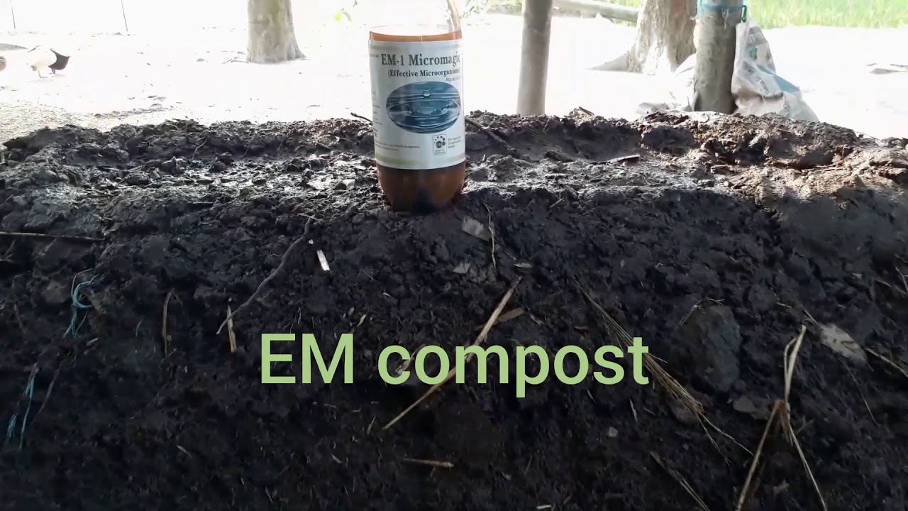 #EM compost - YouTube
