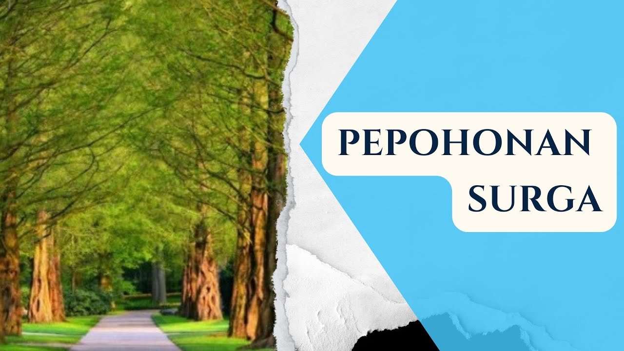 Jalan Menuju Surga : SIFAT PEPOHONAN SURGA / POHON SURGA - YouTube