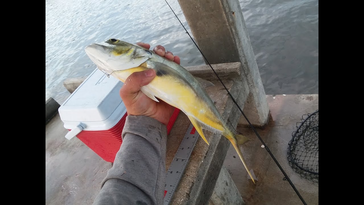 Fishing video at boat ramp - YouTube