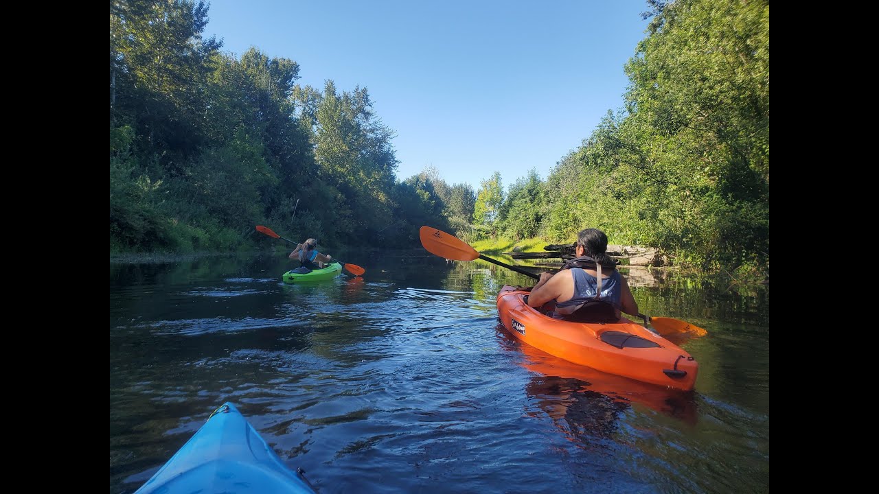 Kayaking the Sammamish River, WA 08/15/2020 - YouTube