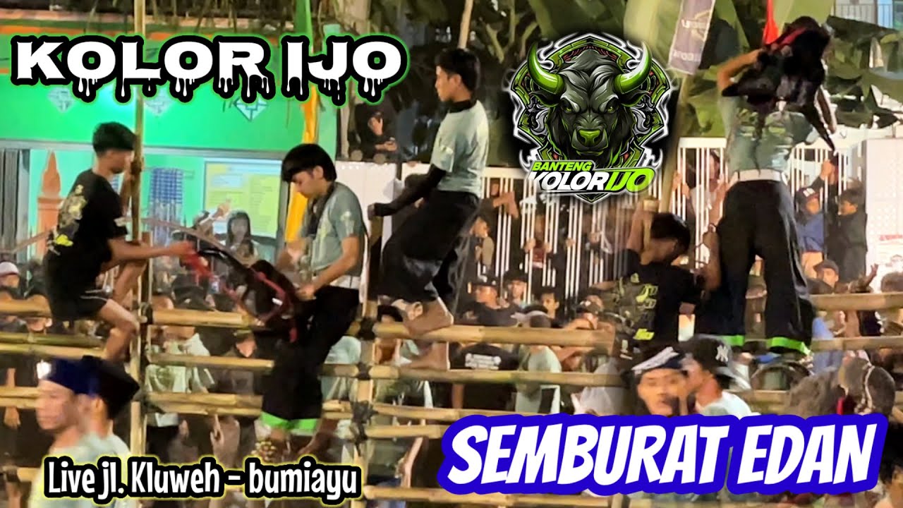 LOS SEMBURAT EDAN || BANTENG KOLOR IJO live jl.kluweh - bumiayu - YouTube