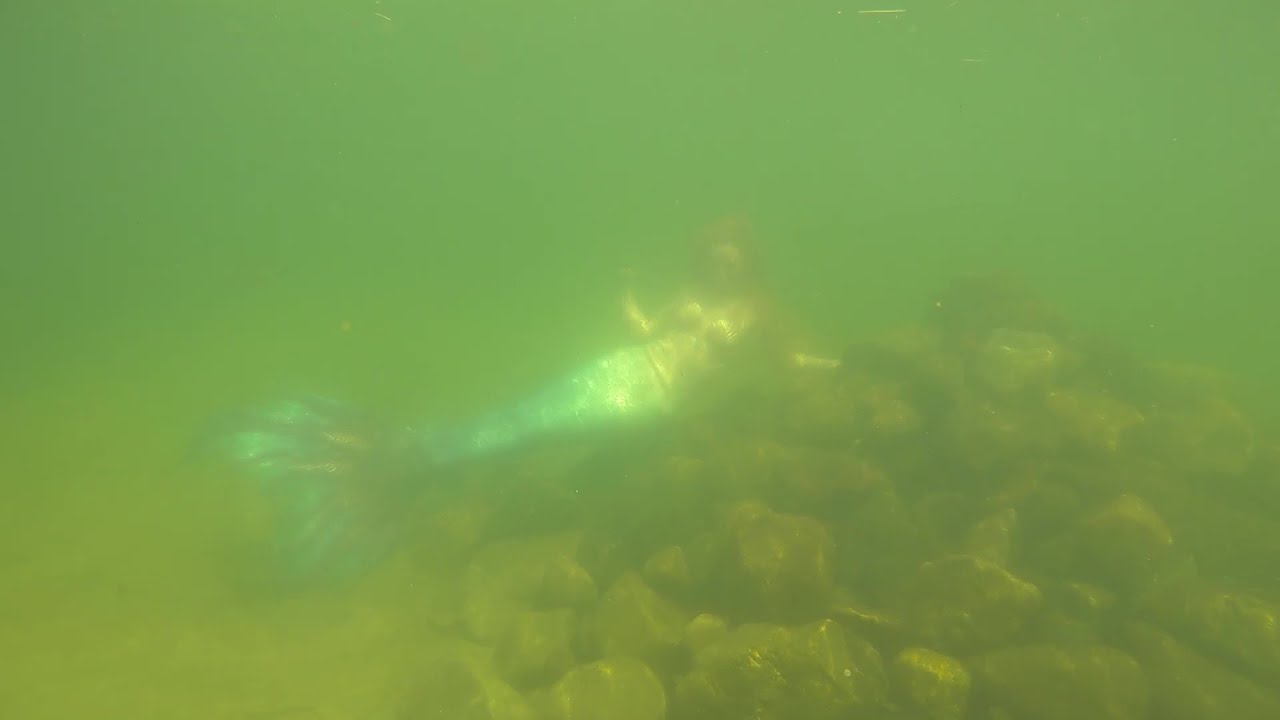 Mernation Mermaid Relaxing Swim - YouTube