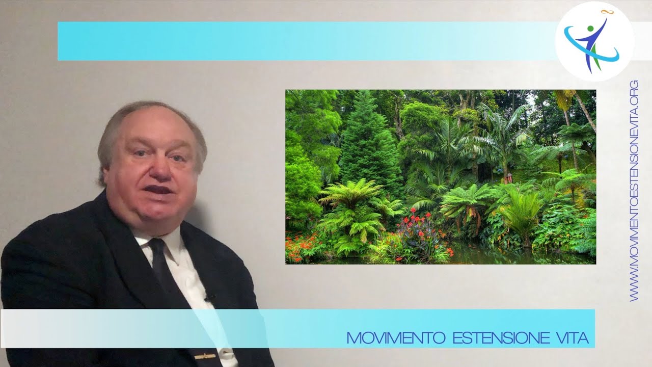 Il Polypodium Leucotomos: una felce tropicale molto importante per l ...