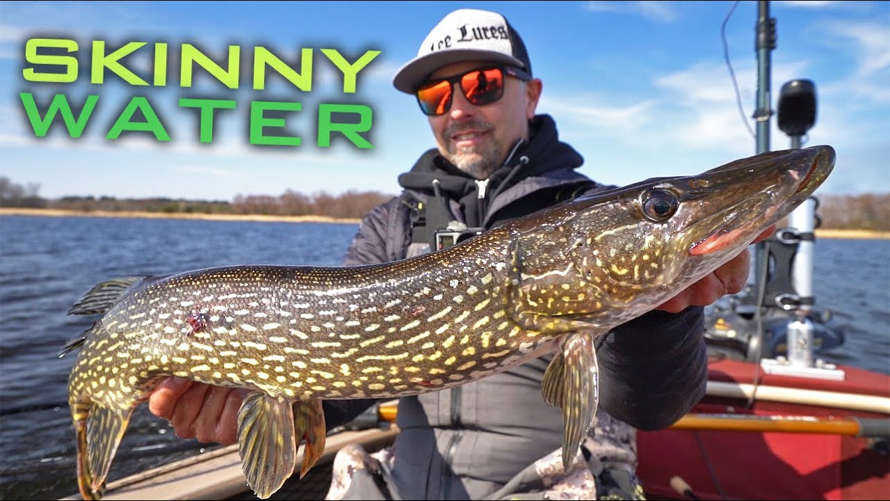 Fishing ULTRA SHALLOW Water For Spring Northern Pike - YouTube