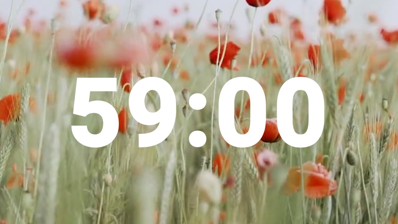 59 Minute Timer with Soothing Music | Stress Relief Countdown Clock ...
