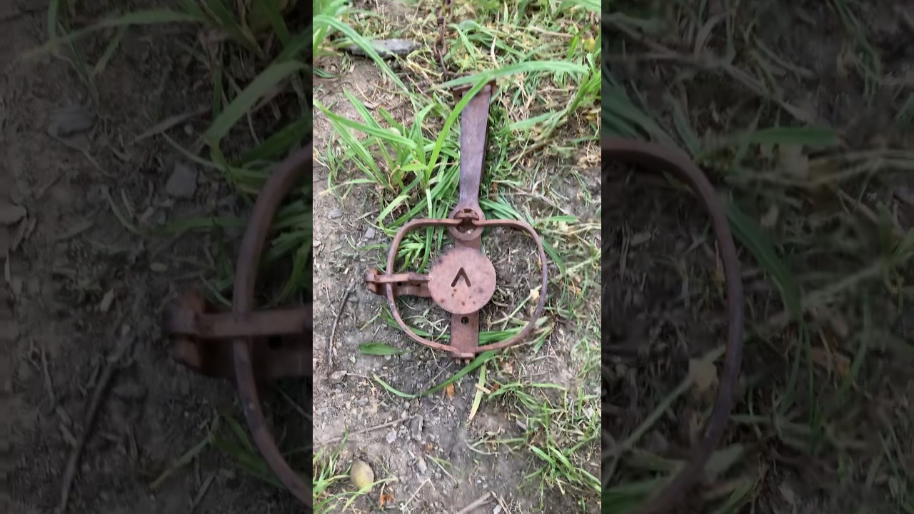 Varmint trap! - YouTube