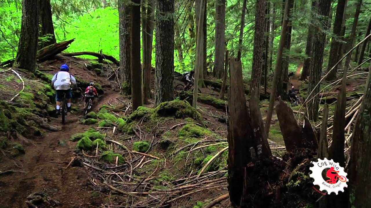 Mountain Biking in Oregon with Cog Wild - YouTube
