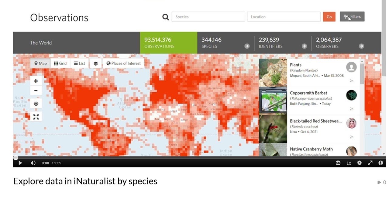 Filtering iNaturalist data by species - YouTube