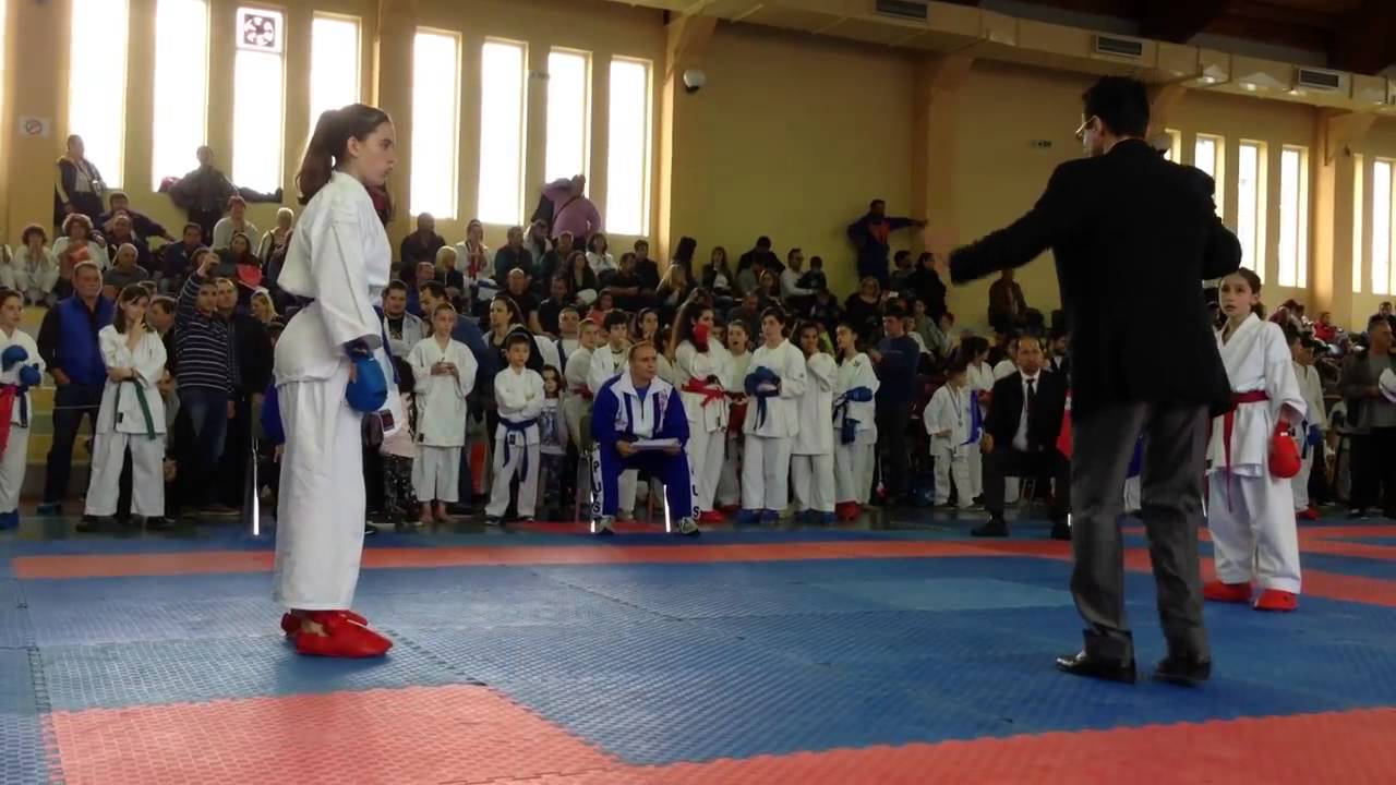ΚΥΠΕΛΛΟ ΚΑΡΑΤΕ ΚΕΝΤΡΙΚΗΣ ΕΛΛΑΔΟΣ, ΑΜΦΙΚΛΕΙΑ 10 Απριλίου 2016 Kyokushin ...