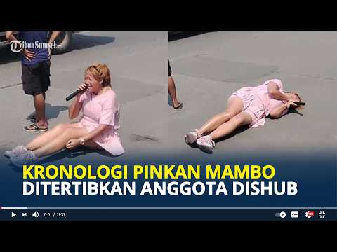KRONOLOGI Pinkan Mambo Ditertibkan Dishub saat Ngamen di Jalan, Dia Gak Ada Izin