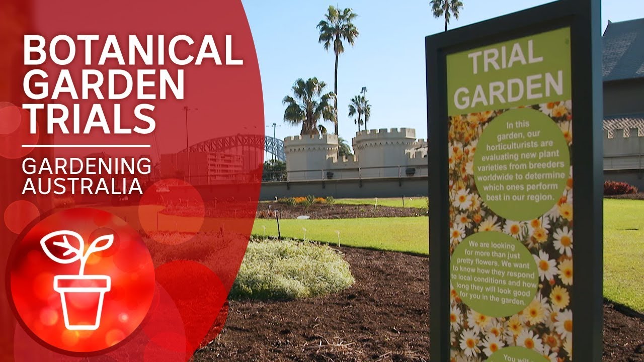 Trial and error at the botanic gardens - YouTube