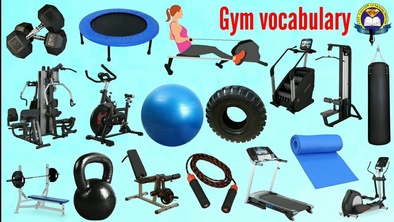 Gym Vocabulary In English Gym Vocabulary Words Gym Equipment Easy gym-vocabulary-in-english-gym-vocabulary-words-gym-equipment-easy