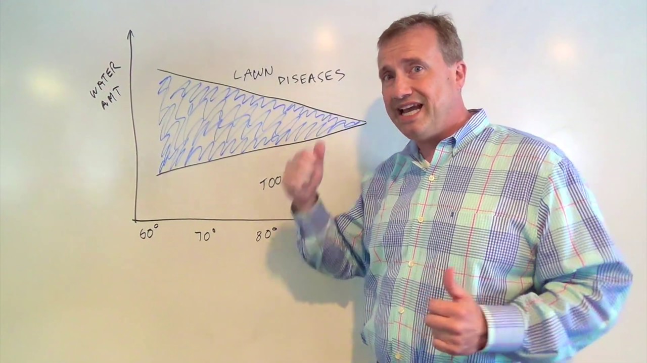 T&B 1 min Tip: Water Wedge - YouTube