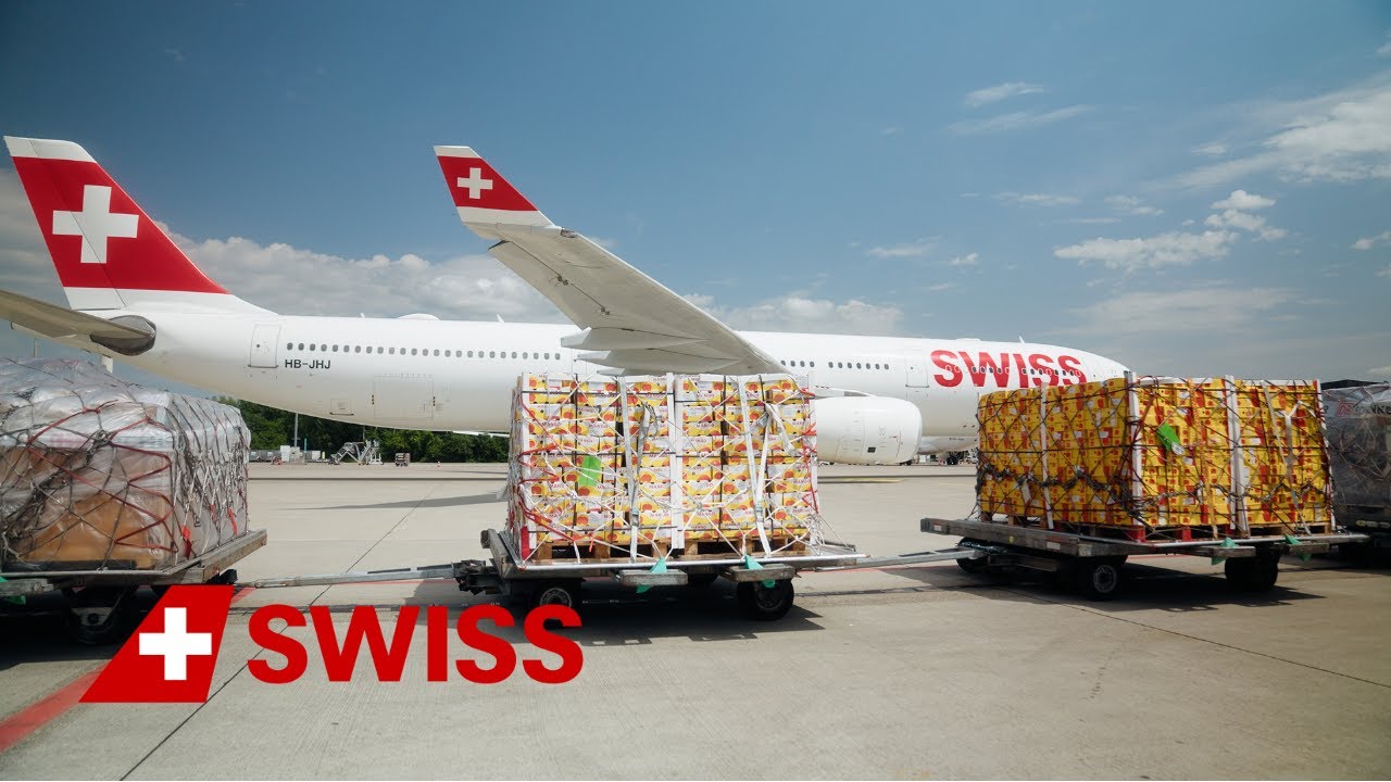 SWISS Behind the Wings | Episode 13: Follow the journey of our cargo ...