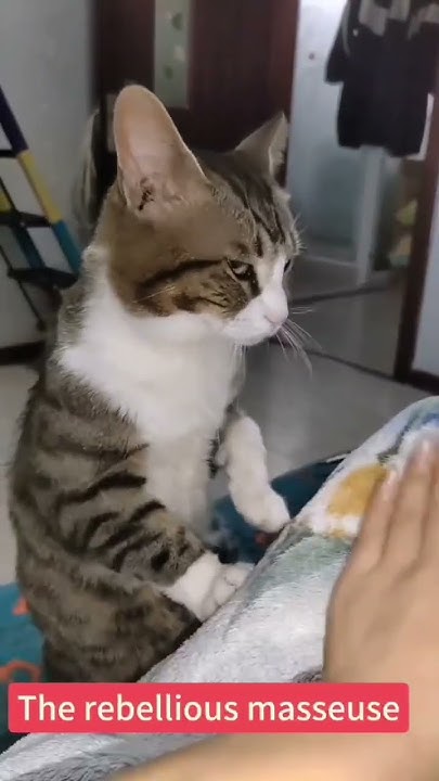 The Rebellious Masseuse Youtube