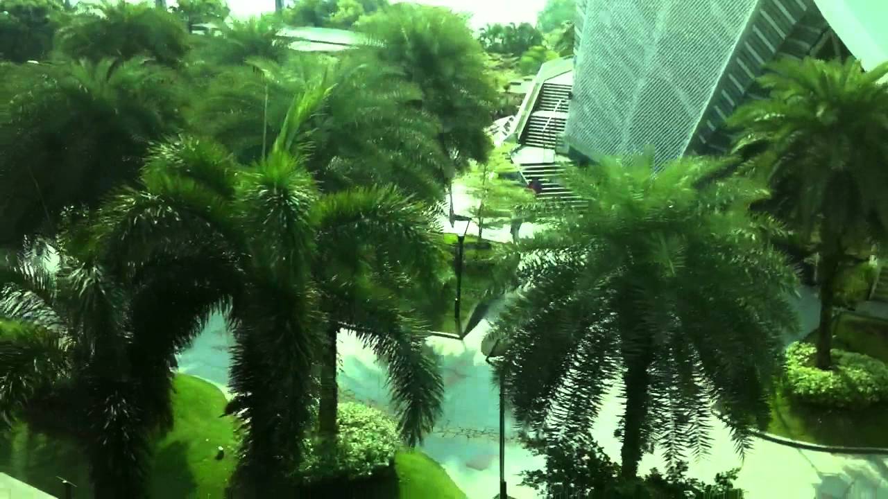 Sentosa Express green monorail from Imbiah to Beach - YouTube