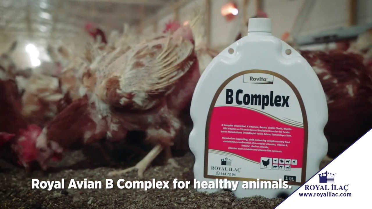 Poultry feed consisting of Vitamin B complexes, preserve metabolism ...