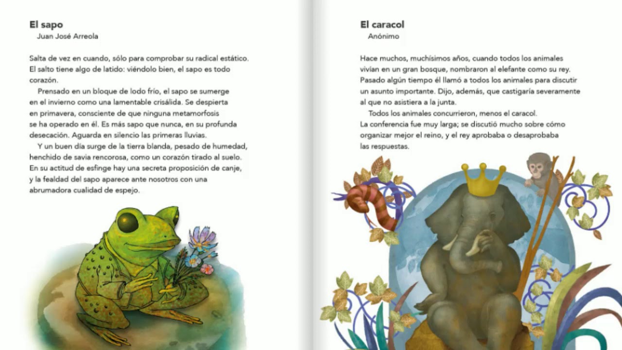 3er grado | El sapo | PAG 60 - YouTube