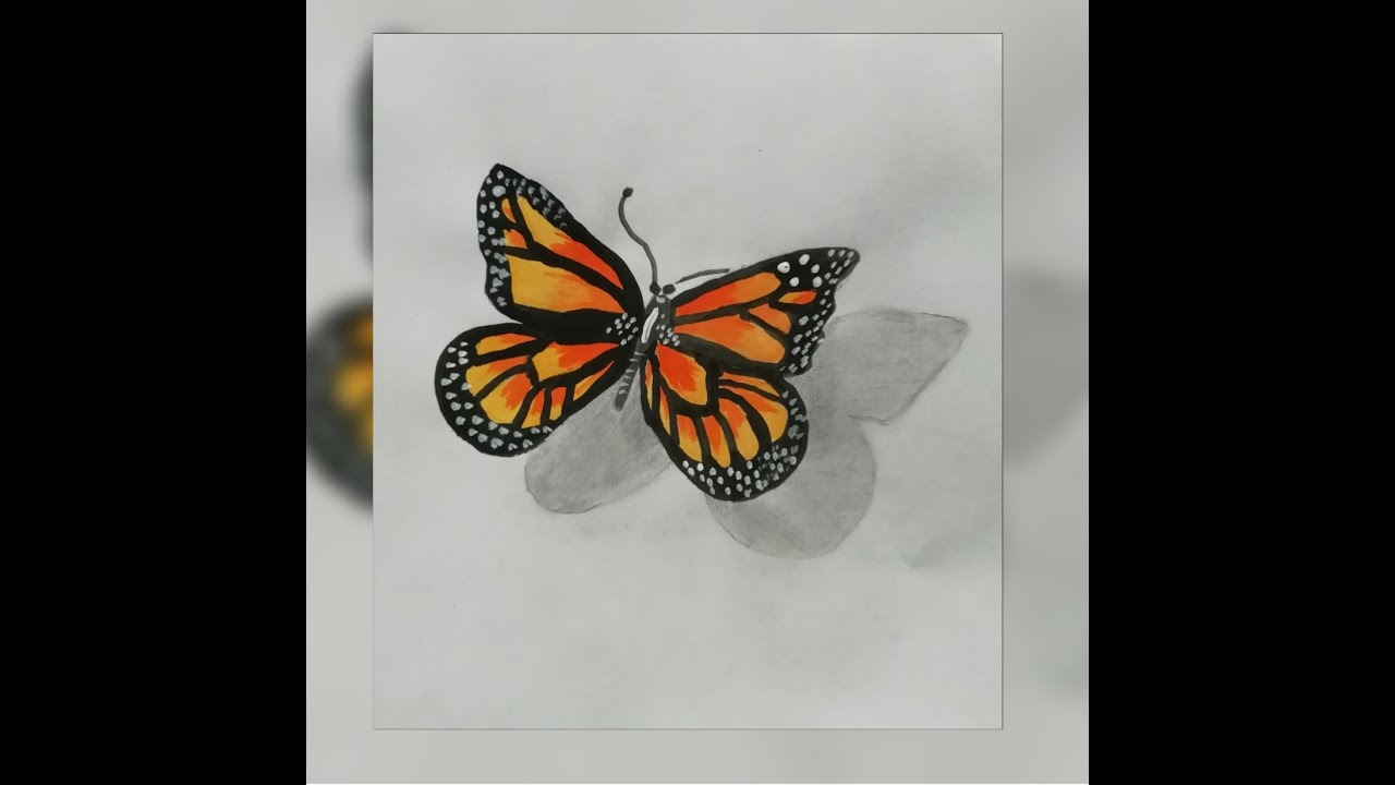 How to draw a monarch butterfly real easy - YouTube