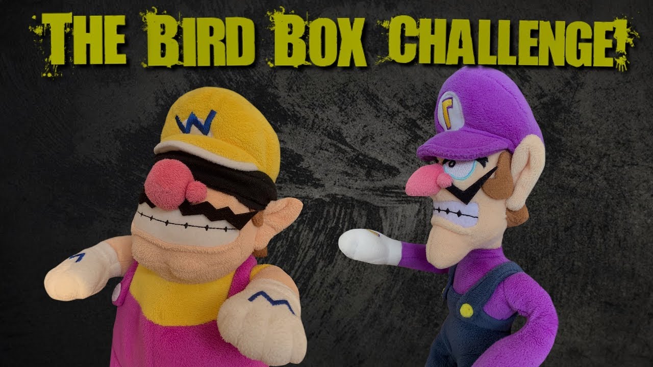 The Bird Box Challenge! - Super Mario Richie - YouTube
