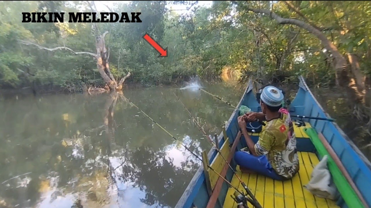 Harus Profesional Mancing Di Tempat Penghuni Sungai Kecil, Ikannya ...
