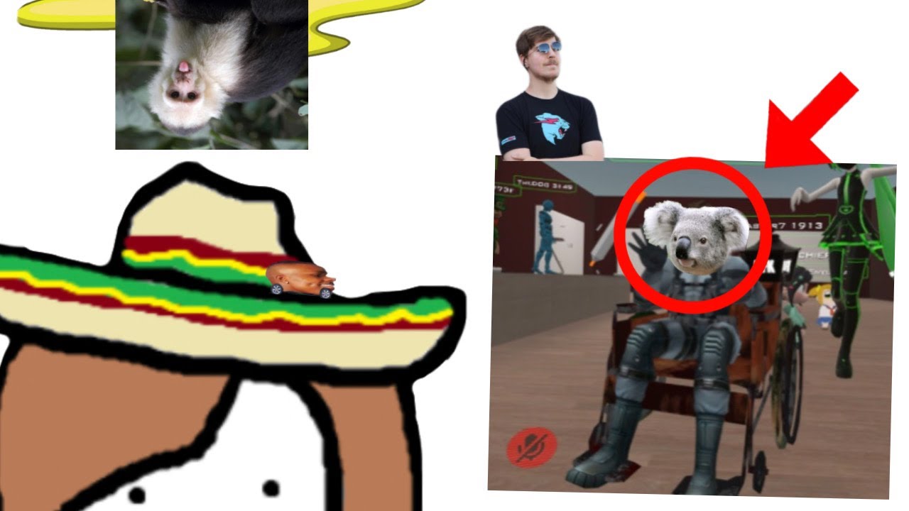 Completely Useless Animal Facts - YouTube