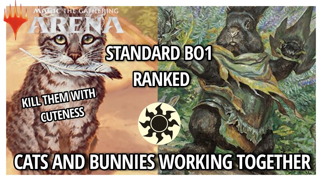 I MADE A STANDARD DECK WITH BOTH CATS AND RABBITS!! PROUD OF MY CREATION! :) MTG ARENA STANDARD ...