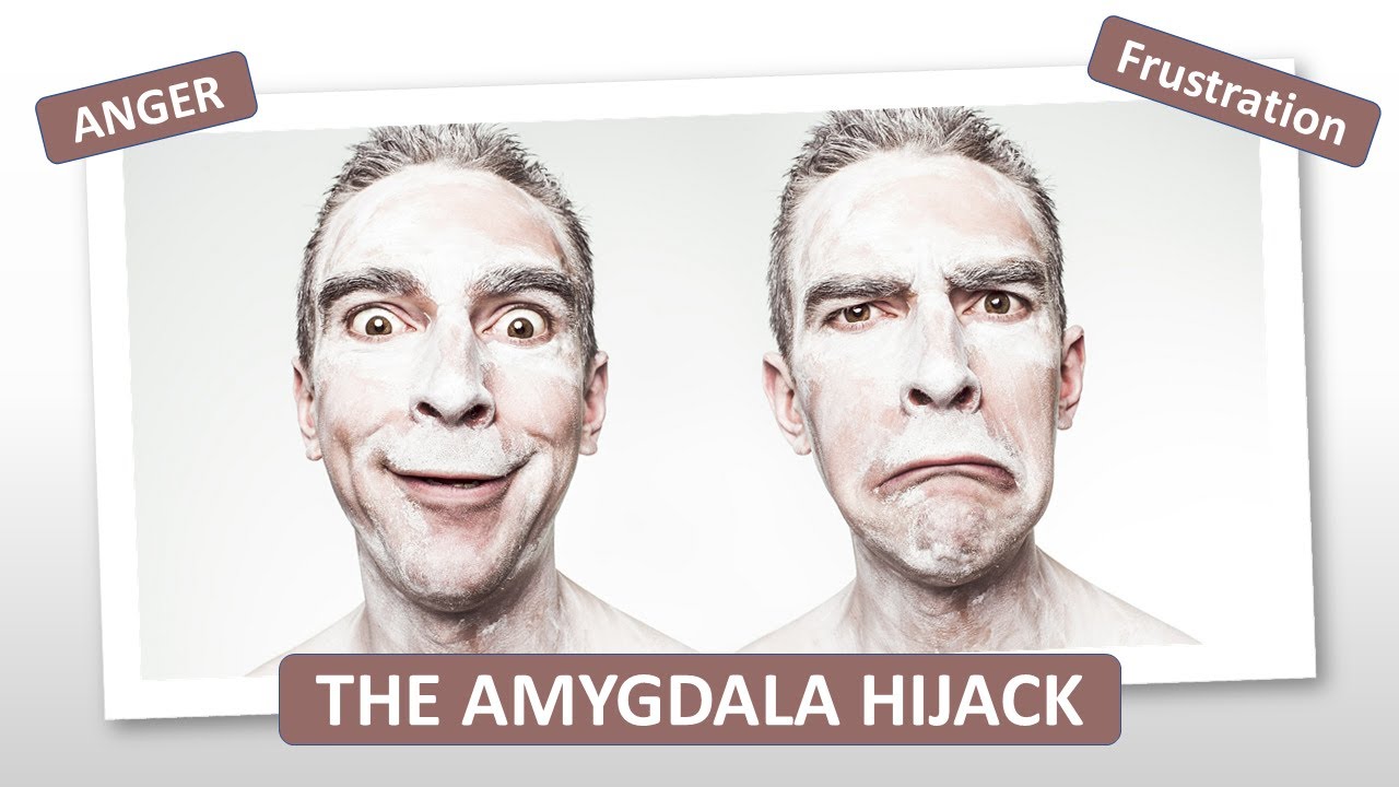 The Amygdala Hijack - Anger Management, Rapport Building, Keeping Calm ...