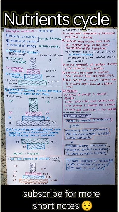 Nutrient cycle short note #neet #mbbs #allen #shorts - YouTube