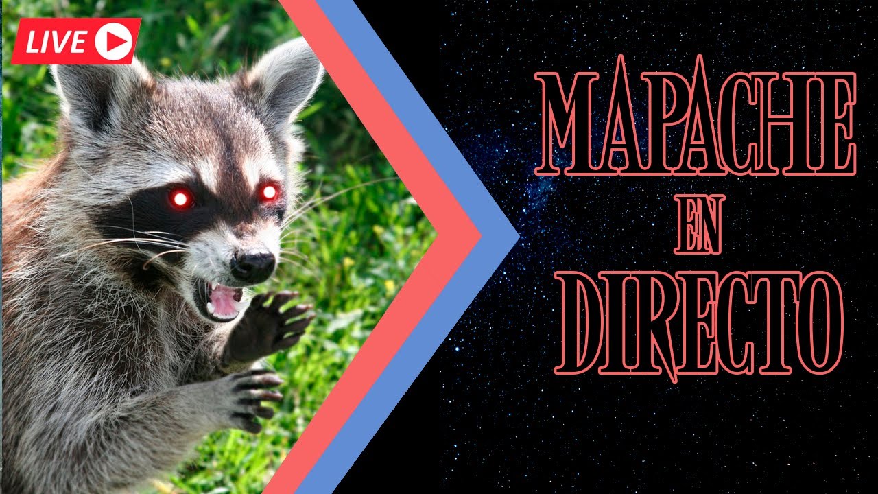 MAPACHE en DIRECTO - Jugando con la BANDA! - YouTube