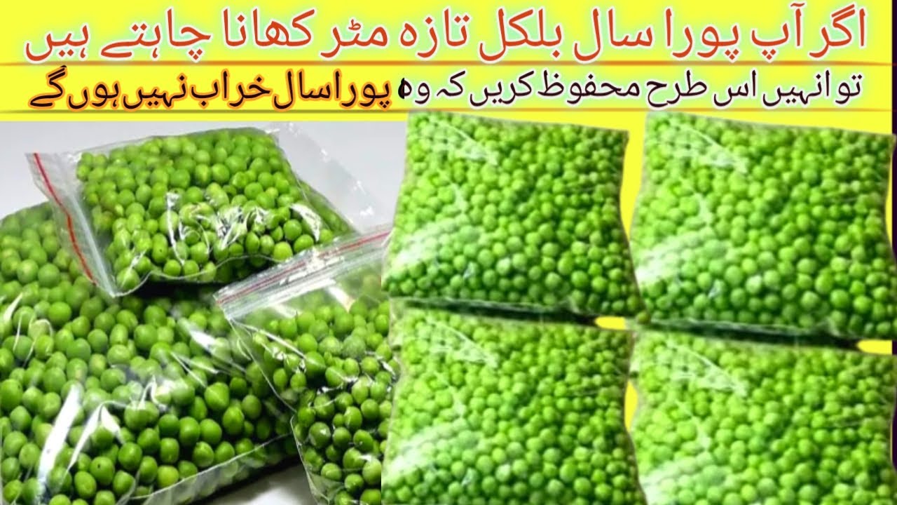 how to preserve (store )fresh green peas or matar | how to store fresh ...