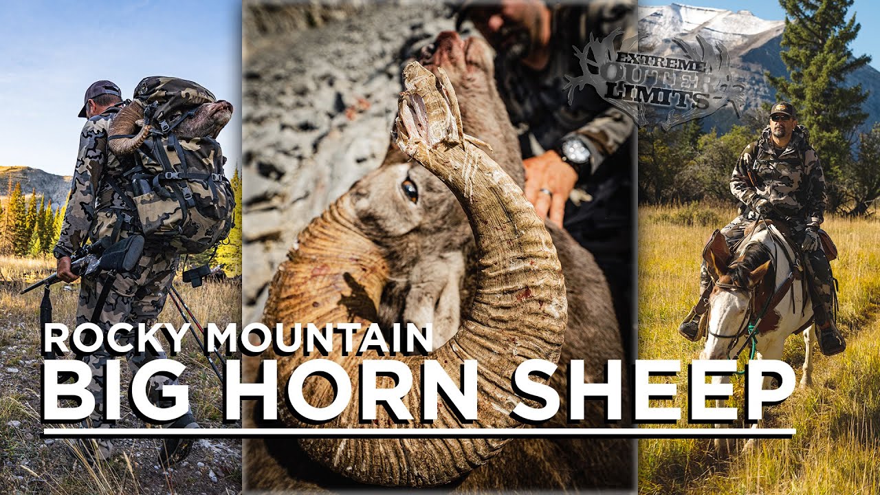 885 Yd Rocky Mountain Big Horn Sheep - Sheep Slam Complete - YouTube