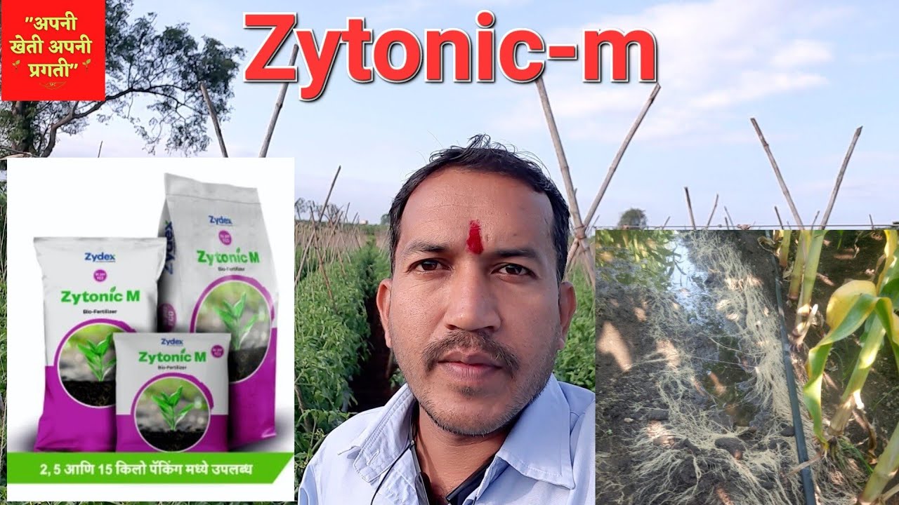 Zydex company ka Zytonic-M product - YouTube