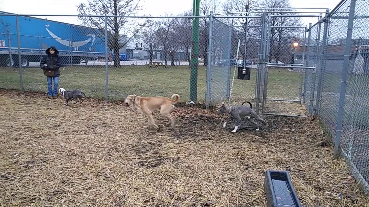 Reed + Calista + Memphis - YouTube