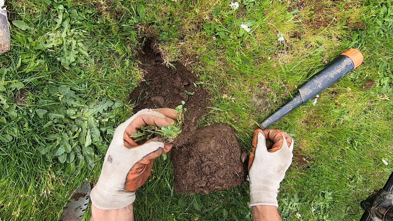 LIVE DIG ACTION!! I try my hardest to keep up with Jim. - YouTube