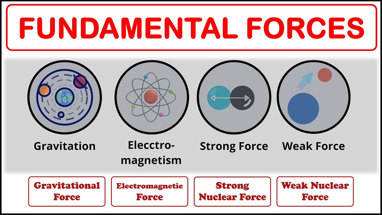 Fundamental Forces | Gravitational, Electromagnetic, Strong Nuclear ...