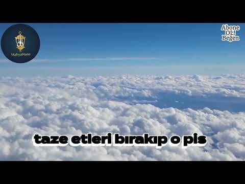Helal İle Haramı Karıştırma !!! 