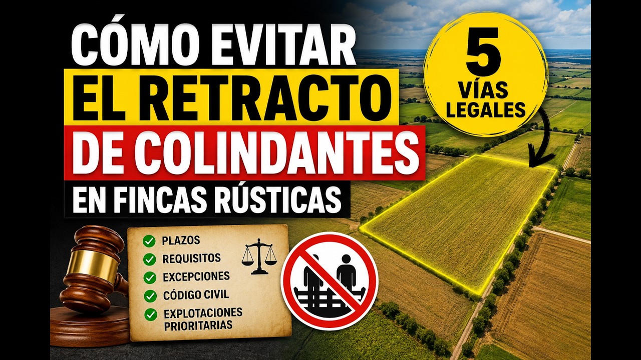 Trigo en Alemania: 7 datos oficiales que anticipan una menor cosecha en ...