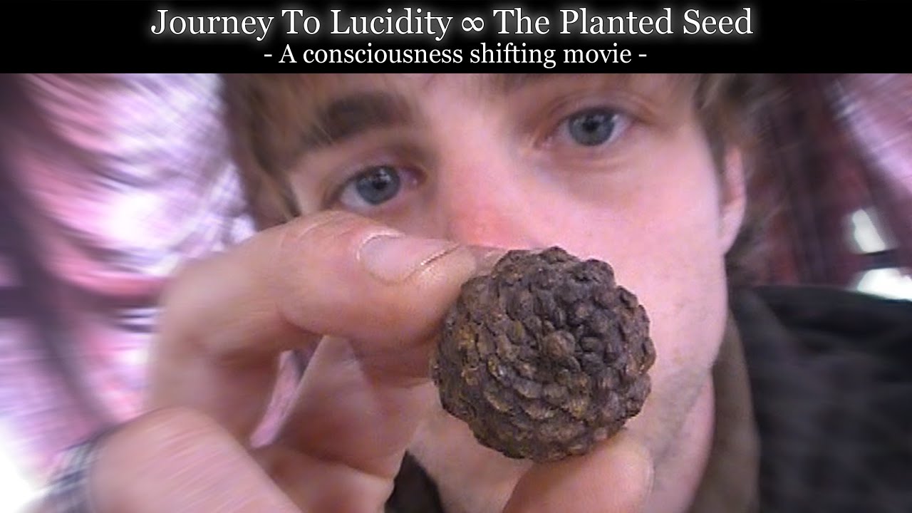 [Full Movie] Journey to Lucidity: The Planted Seed. (A Consciousness ...