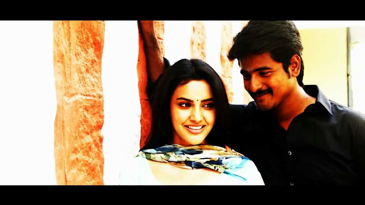 Ethir Neechal - Local Boys Official Full Song - YouTube Music