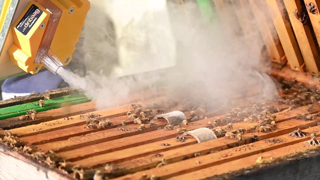 Getting started with the Apisolis Non-Toxic Smoker - YouTube