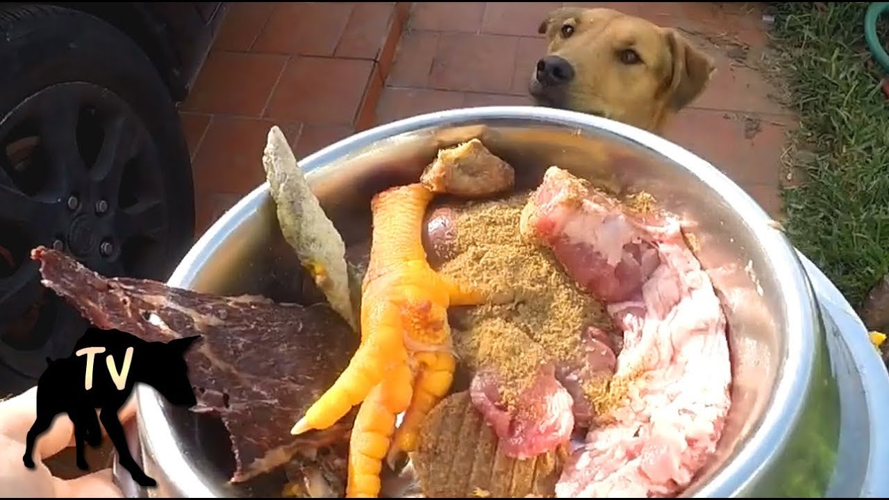 Prey Model Raw Recipe #2 | Raw Feeding Vlog - YouTube