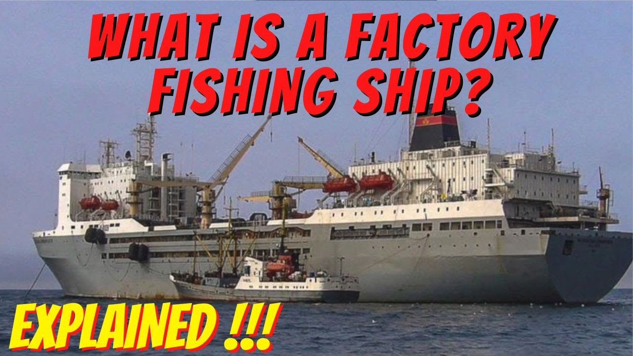 These behemoth factory fishing ships are equipped to catch and process ...
