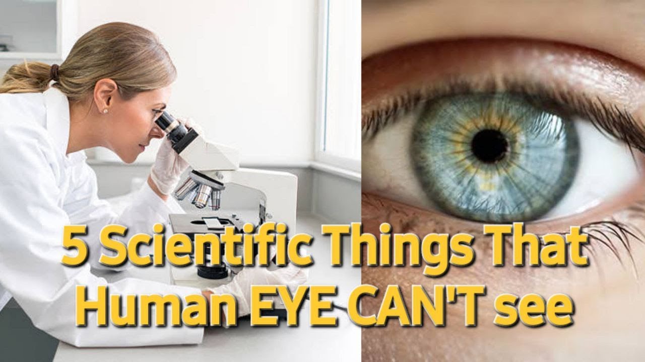 5 Scientific Things That Human Eye CAN'T See! - YouTube