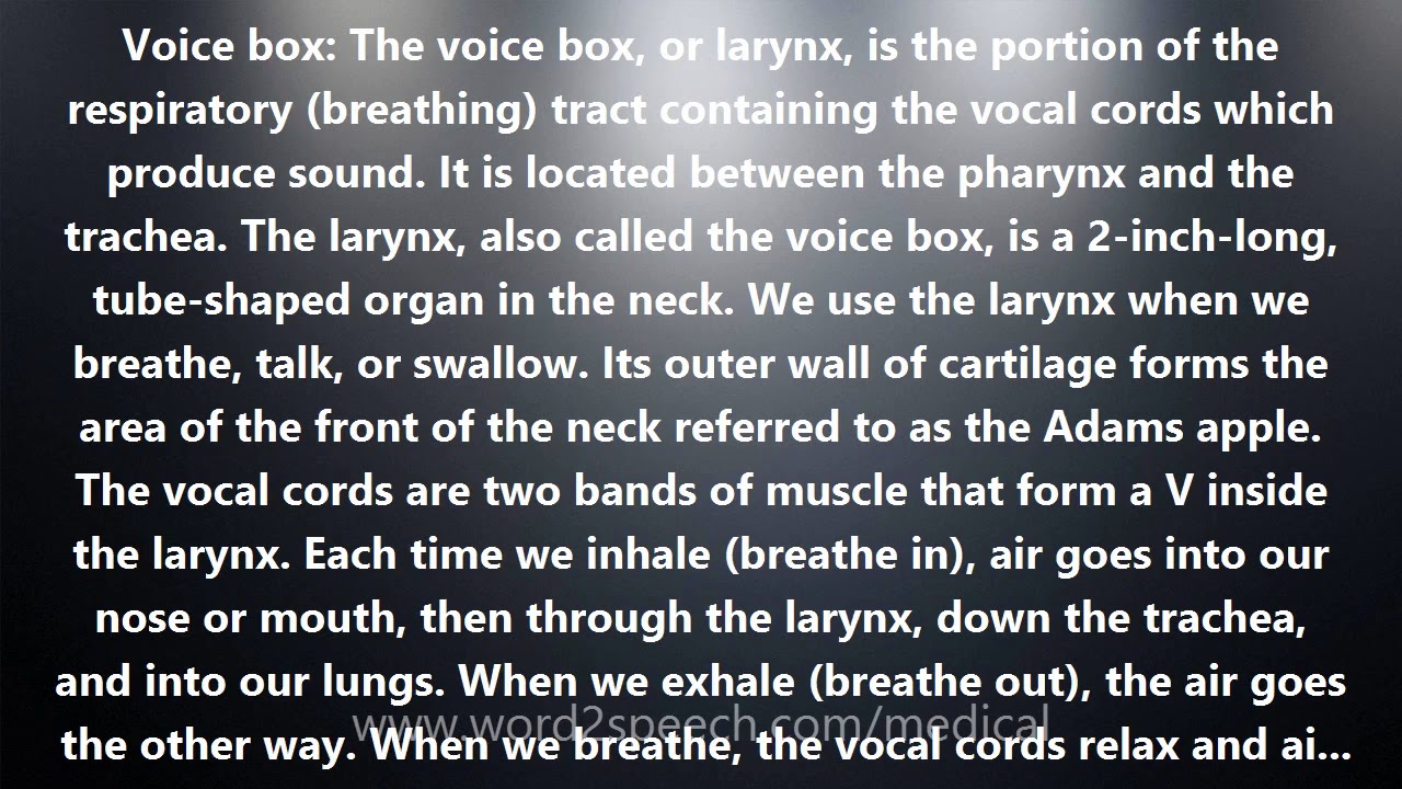 Voice box - Medical Meaning and Pronunciation - YouTube